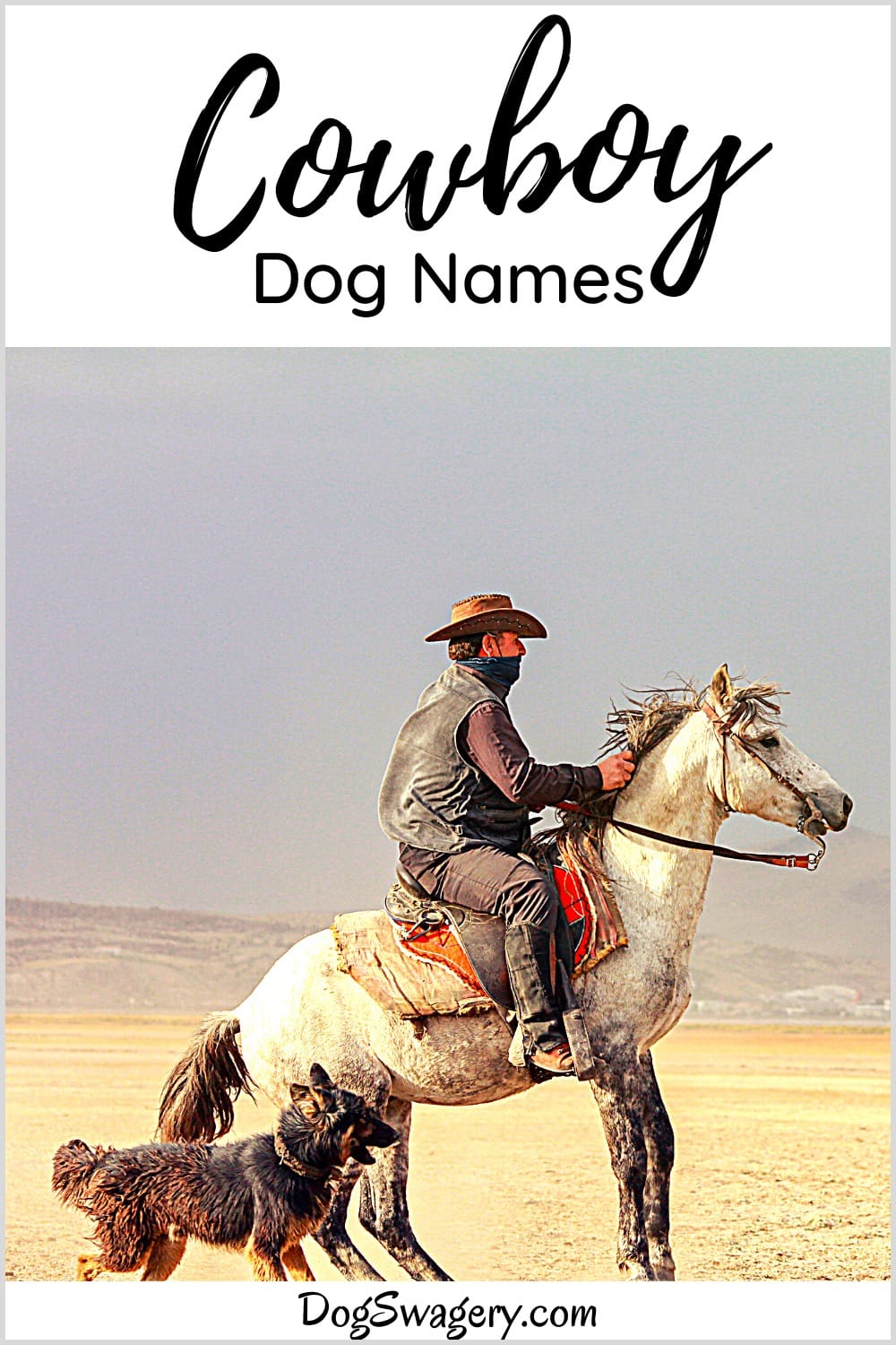Saddle Up, Pup! 70+ Cowboy Themed Dog Names for Your Western Sidekick ...