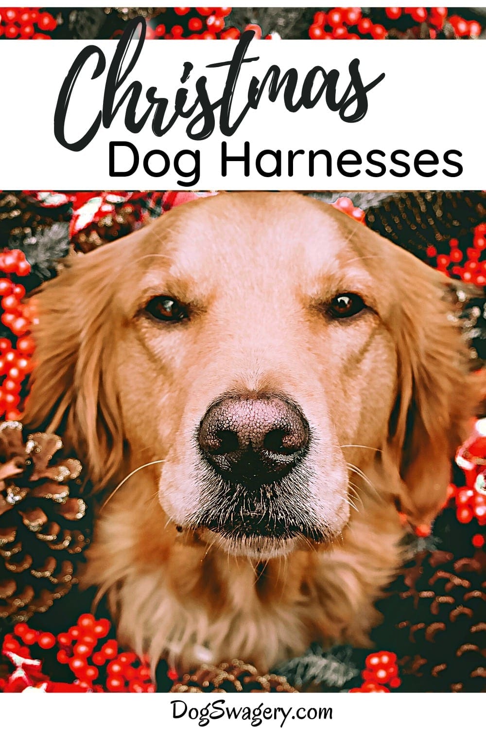 Christmas Dog Harnesses