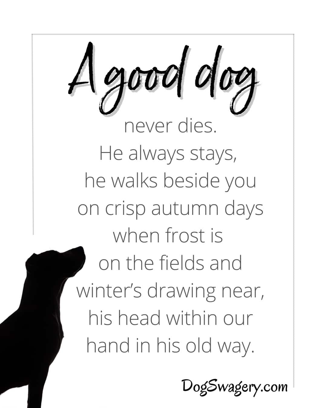 Quotes about Loss of Dog
