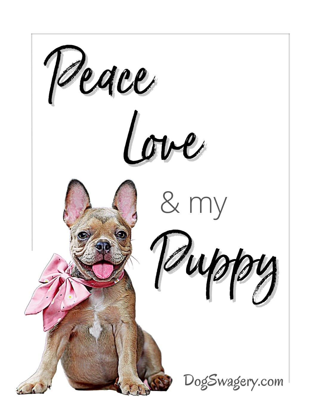 45+ Lovable Quotes about Puppies