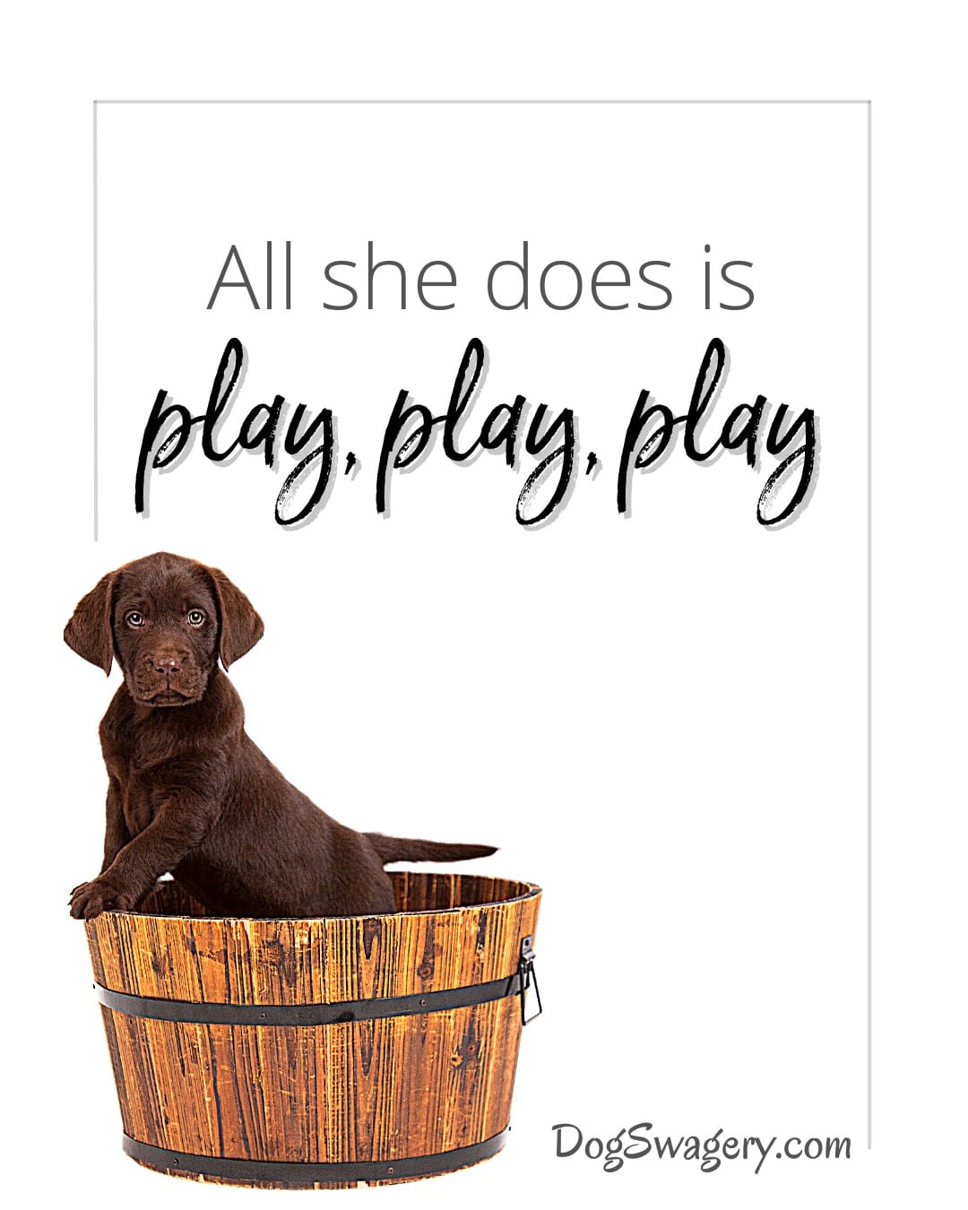 45+ Lovable Quotes about Puppies