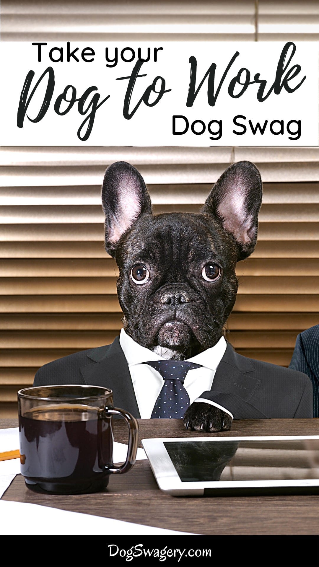 DogSwagery • DogSwagery