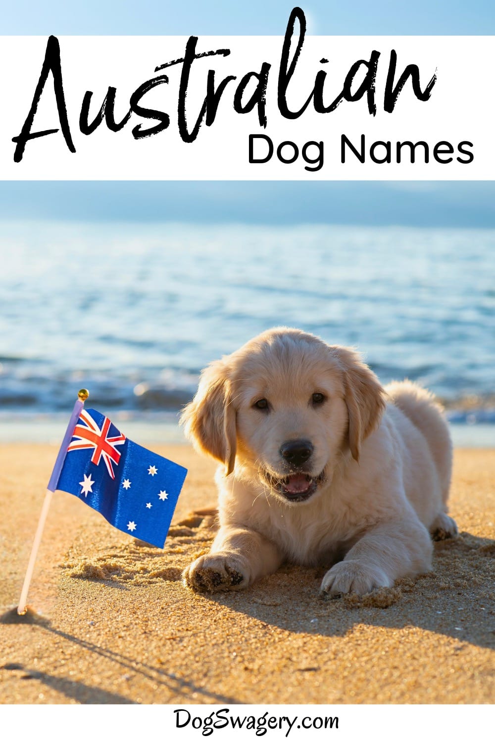 201+ Australian Dog Names: Popular and Unique Choices for Your Aussie Pup