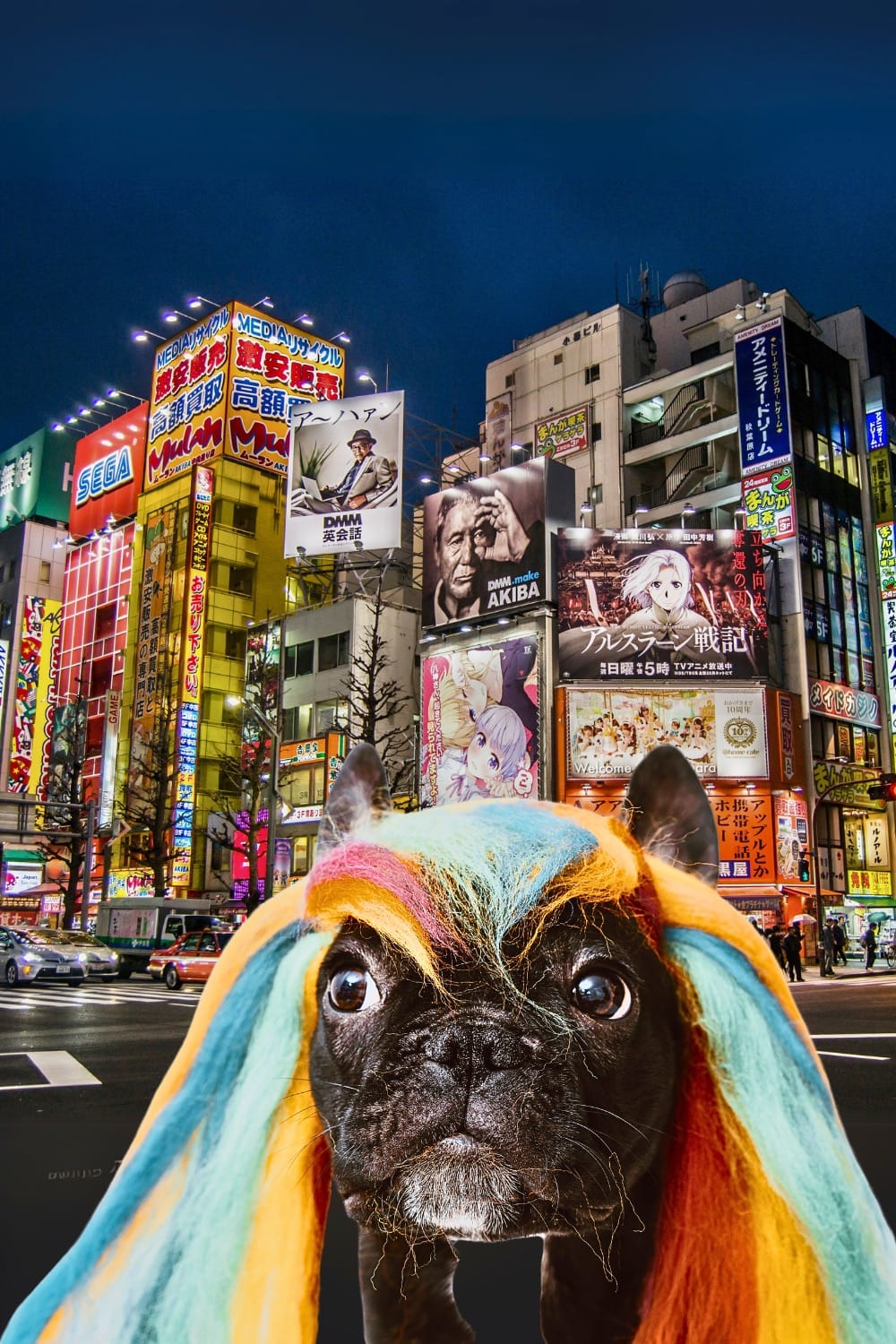 Anime Dog Names: 100+ Unique Puppy Names Inspired by Japanese Culture ...