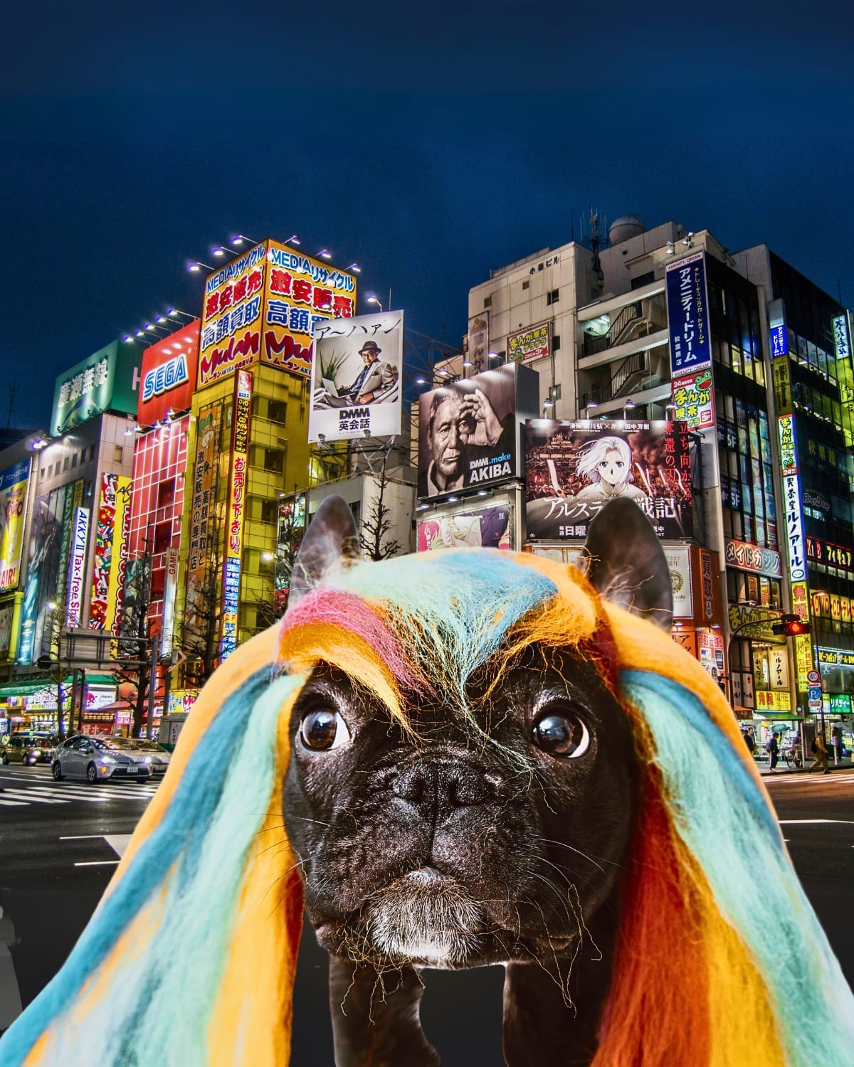 Anime Dog Names: 100+ Unique Puppy Names Inspired by Japanese Culture ...